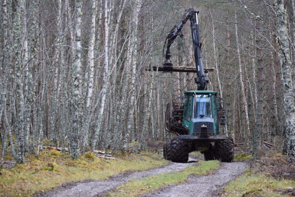 Lone working in the forestry sector | Safepoint Lone Worker Apps and ...